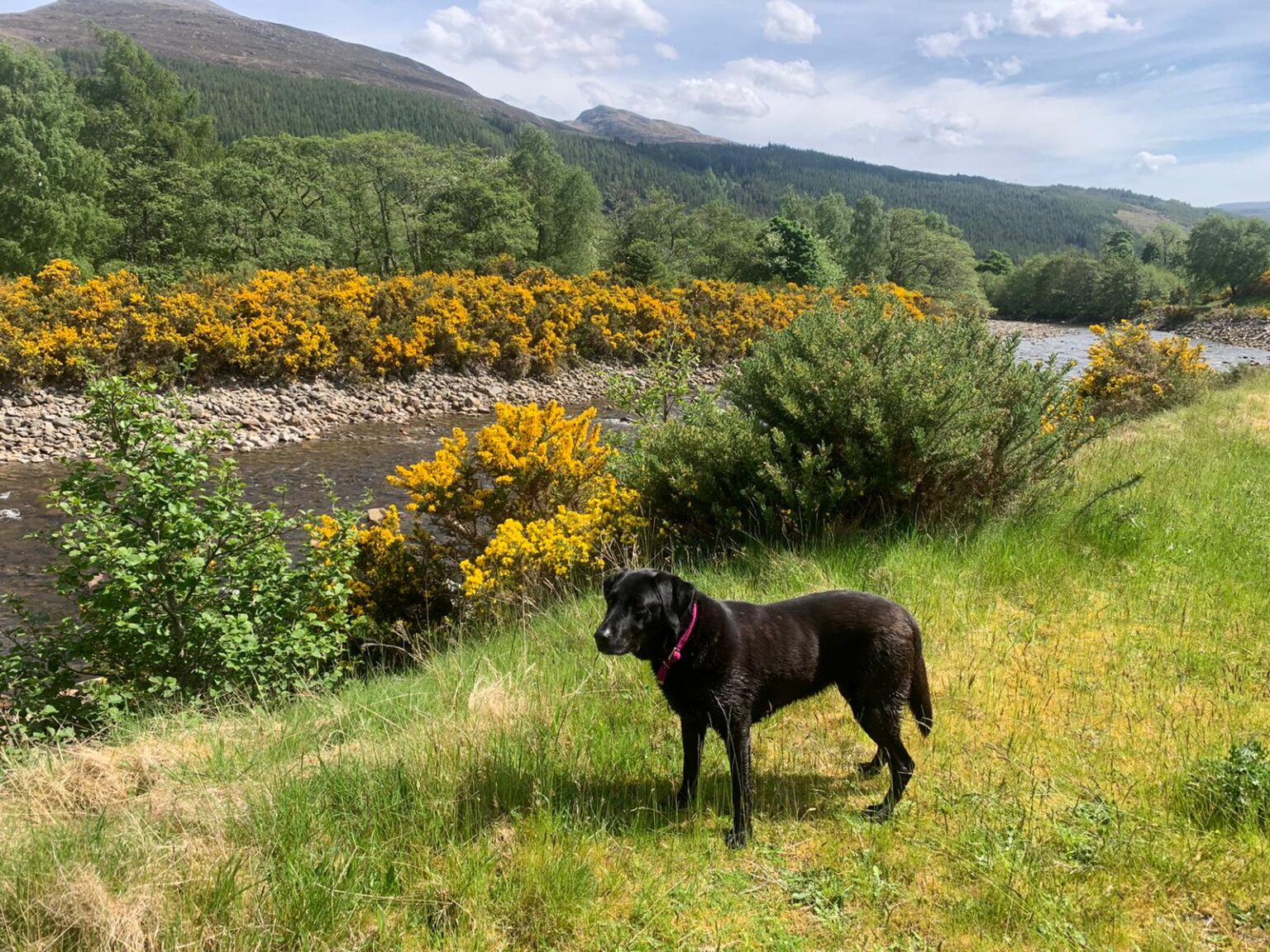 Walking in Ullapool and surroundings - McKenzie Mountaineering